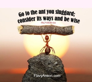 Learning from the Ants
